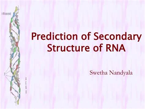 PPT Prediction Of Secondary Structure Of RNA PowerPoint Presentation ID