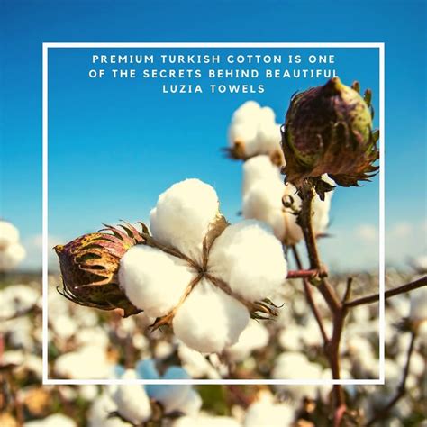 Premium Turkish Cotton Is One Of The Secrets Behind Beautiful Luzia