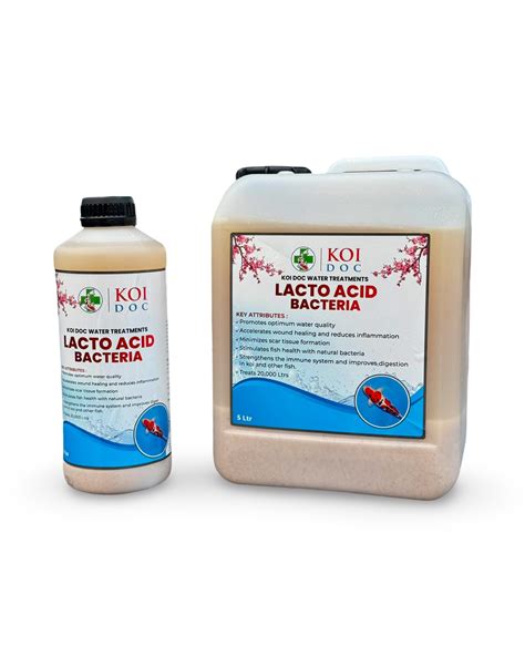 Koi Doc Lacto Acid Bacteria 1 Litre 5 Litres Queni Koi