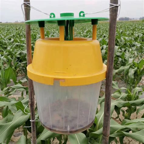 Non Toxic Spodoptera Frugiperda Sex Pheromone Lurechina Price Supplier 21food