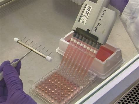 Neutralization Assay