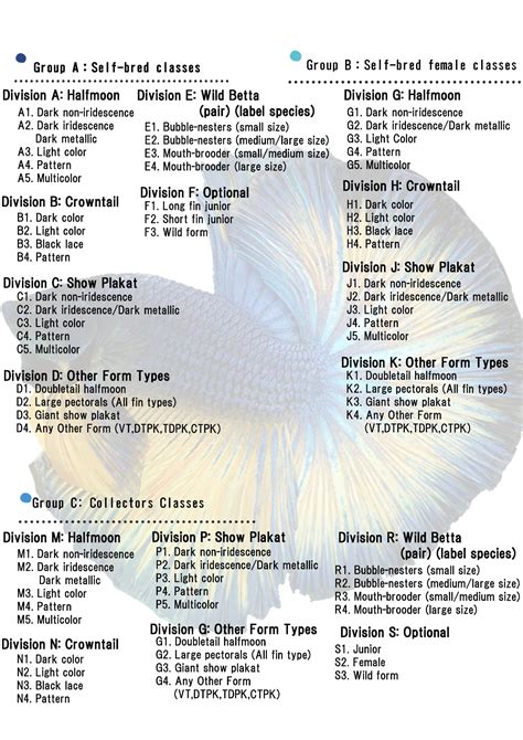 Shows For January 2026 International Betta Congress