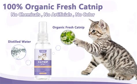 Organic Catnip Spray For Cats And Kittens Extra Strength Catnip Formula Renews Cat