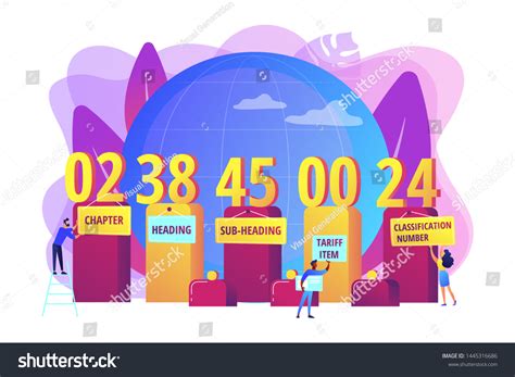 Numbers Meaning Explanation Harmonized System Classification Stock Vector Royalty Free