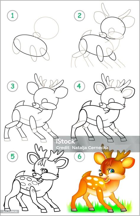 작은 새끼 사슴을 그리는 방법을 단계별로 배우는 방법을 보여줍니다 아이들의 그림 그리기와 색칠 기술 개발 벡터 이미지입니다 검은색에 대한 스톡 벡터 아트 및 기타 이미지