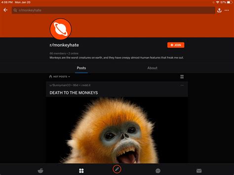 It Seems The Monkey Hate Has Expended From Youtube And Has Its Own