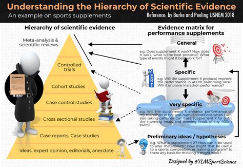 Understanding The Hierarchy Of Scientific Evidence An Example On Sports Supplements