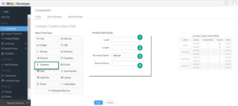 Custom Field Types Online Help Bigin