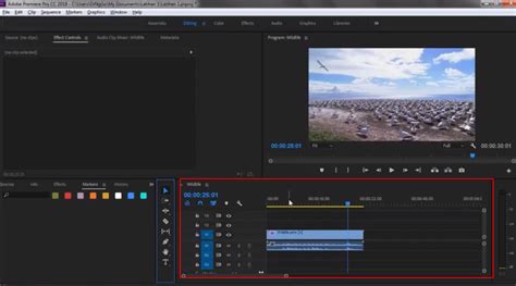 Panel Area Adobe Premiere Pro Cc 2018 Time Line Program Source