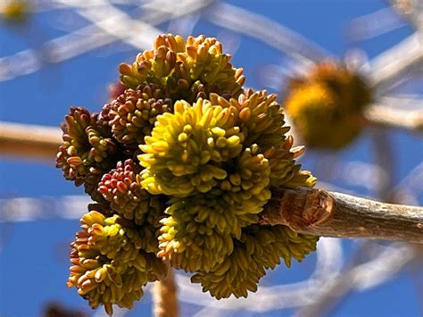 Line By Line Meaning Of W H Audens ‘the Night Mail By Vasudha Shah Medium