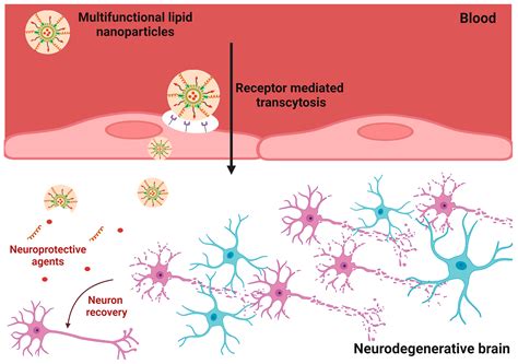 Nanomaterials | Free Full-Text | Recent Uses of Lipid Nanoparticles, Cell-Penetrating and ...