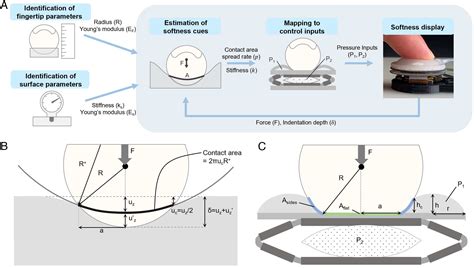 Sori A Softness Rendering Interface To Unravel The Nature Of Softness Perception Pnas