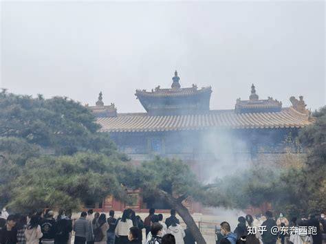 科学的尽头真的是神学吗？如果不是，为什么有越来越多的年轻人礼佛？ 知乎