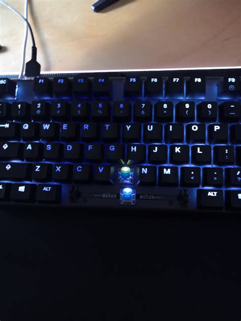 Apex Tkl Can I Buy LEDs Somewhere Or Fix It Because The On Under The B Is Broken En Only