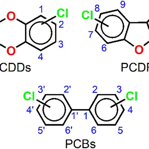 Schematic Diagrams Of Polychlorinated Dibenzo P Dioxins Pcdds Download Scientific Diagram