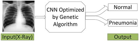 Frontiers | Optimization of convolutional neural network and visual geometry group-16 using ...