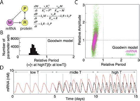 Random Parameterization Of A Classical Model To Explain The Gene Download Scientific Diagram