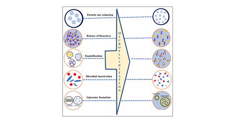 Microfluidization A Tool For Improvement Of Techno Functional