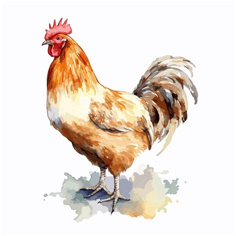 Premium Vector Colorful Realistic Rooster Hand Drawn Cartoon Chicken