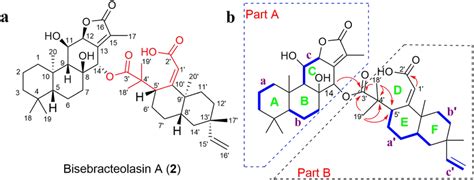 Structure Of Compound 2 A Chemical Structure Of Compound 2 B Key