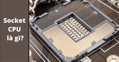Socket CPU là gì Tìm hiểu các loại socket CPU phổ biến 2024