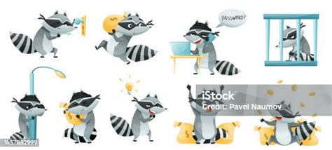 줄무늬 꼬리를 가진 너구리 강도 마스크 훔치기 및 해킹 벡터 세트를 착용 너구리 너구리과에 대한 스톡 벡터 아트 및 기타 이미지