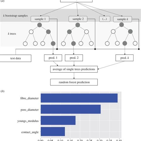 A Simplified Structure Of Random Forest Regression Algorithm B