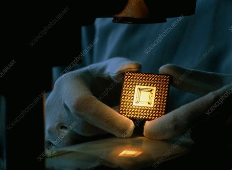 Microchip Carrier Stock Image T370 0750 Science Photo Library