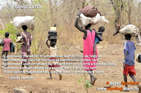 Dimitri Verhulst Dr Pallagi Ádám ügyvéd