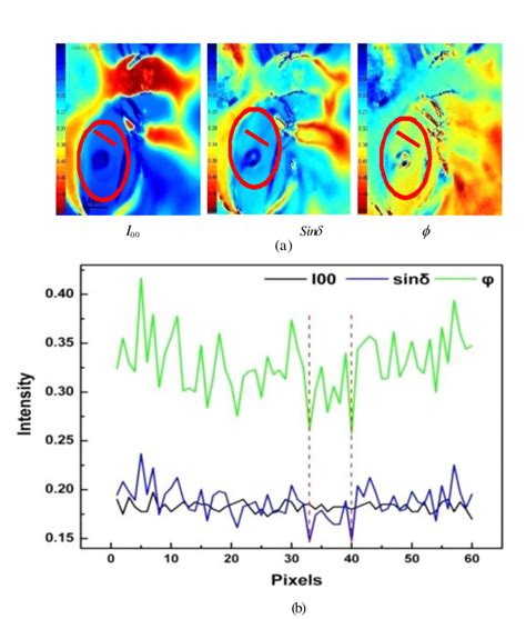 A Bright Field Images Taken By The Modulated Polarization Parameter