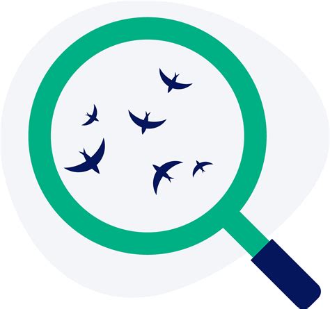 Automated Bird Repellent System Keep Birds Away 247