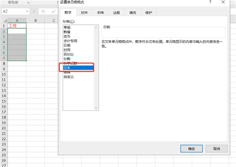 获取导入模板单元格式无法设置 · issue 231 · dotnetcore magicodes ie · github