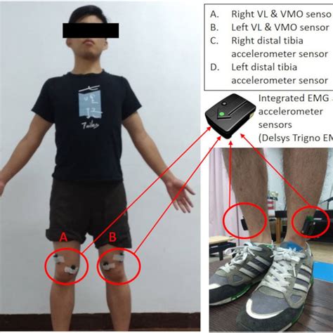 Hardware System Configuration Of Vibration Feedback Control And Muscle Download Scientific
