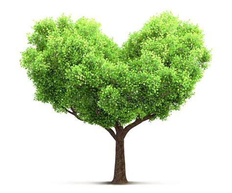 Tree In Heart Shape Illustration Stock Illustration Illustration Of Leaves Environment 113312477