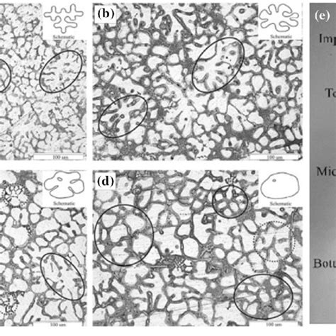 Microscopic View Showing A Dendritic Cast Microstructure And B