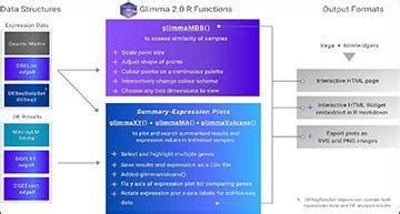 A Protocol For Visual Analysis Of Alternative Splicing In Rna Seq Data Using Integrated Genome
