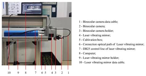 Yolov7 Based Intelligent Weed Detection And Laser Weeding System Research Targeting Veronica