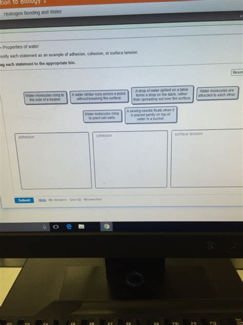 solved classify each statement as an example of adhesion