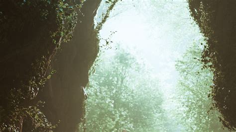 Overgrown Cave Finished Projects Blender Artists Community