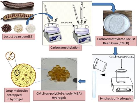 Synthesis And Characterization Of Carboxymethylated Locust Bean Gum‐co