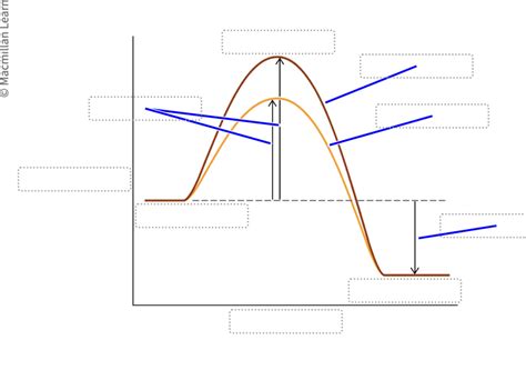 Biochem Exam 2 Diagram Quizlet