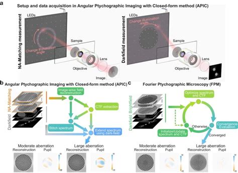 New Computational Microscopy Technique Provides More Direct Route To Crisp Images Science X