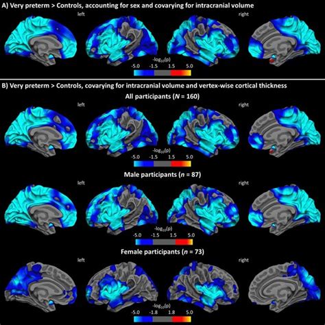 Results From General Linear Models Testing For Group Differences In