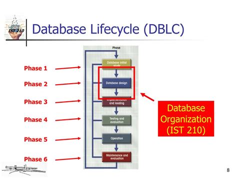 ppt database design process powerpoint presentation free download