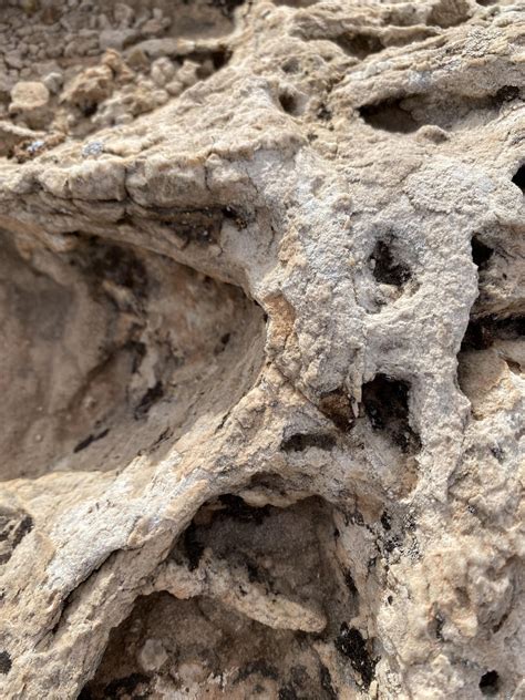 Whats This Mineral Weathering Slower Than The Sandstone Se Utah