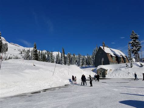 레이니어산 눈산 당일투어 줌줌투어 미국 시애틀