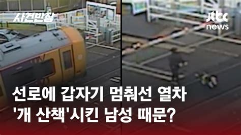 선로에 갑자기 멈춰선 열차개 산책시킨 남성 때문 글로벌픽 Jtbc 사건반장 Youtube