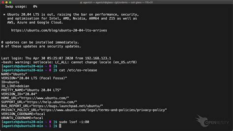 Install OpenResty On Ubuntu Via Apt Get OpenResty Official Blog
