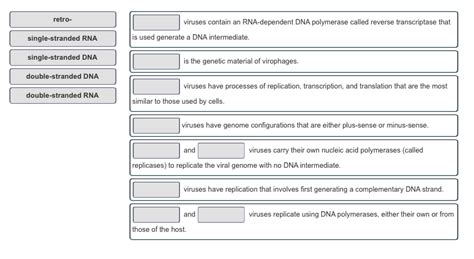 Solved Viruses Contain An Rna Dependent Dna Polymerase