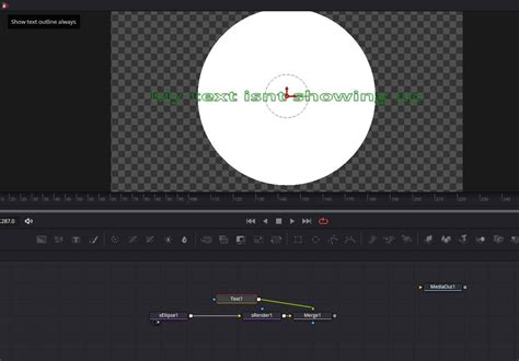 Why Isnt This Text Showing Rdavinciresolve